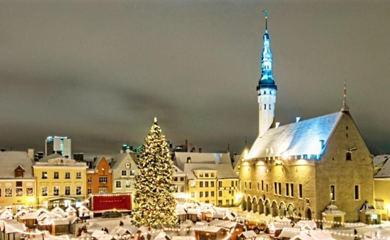 Christmas Tree Stories Centuries Of History Sur In English christmas-tree-stories-centuries-of-history-sur-in-english